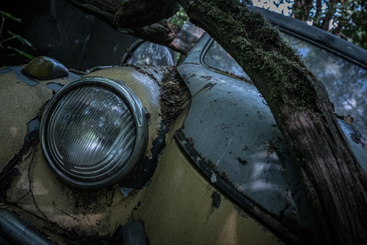 Autofriedhof Neandertal | Thomas Nentwich